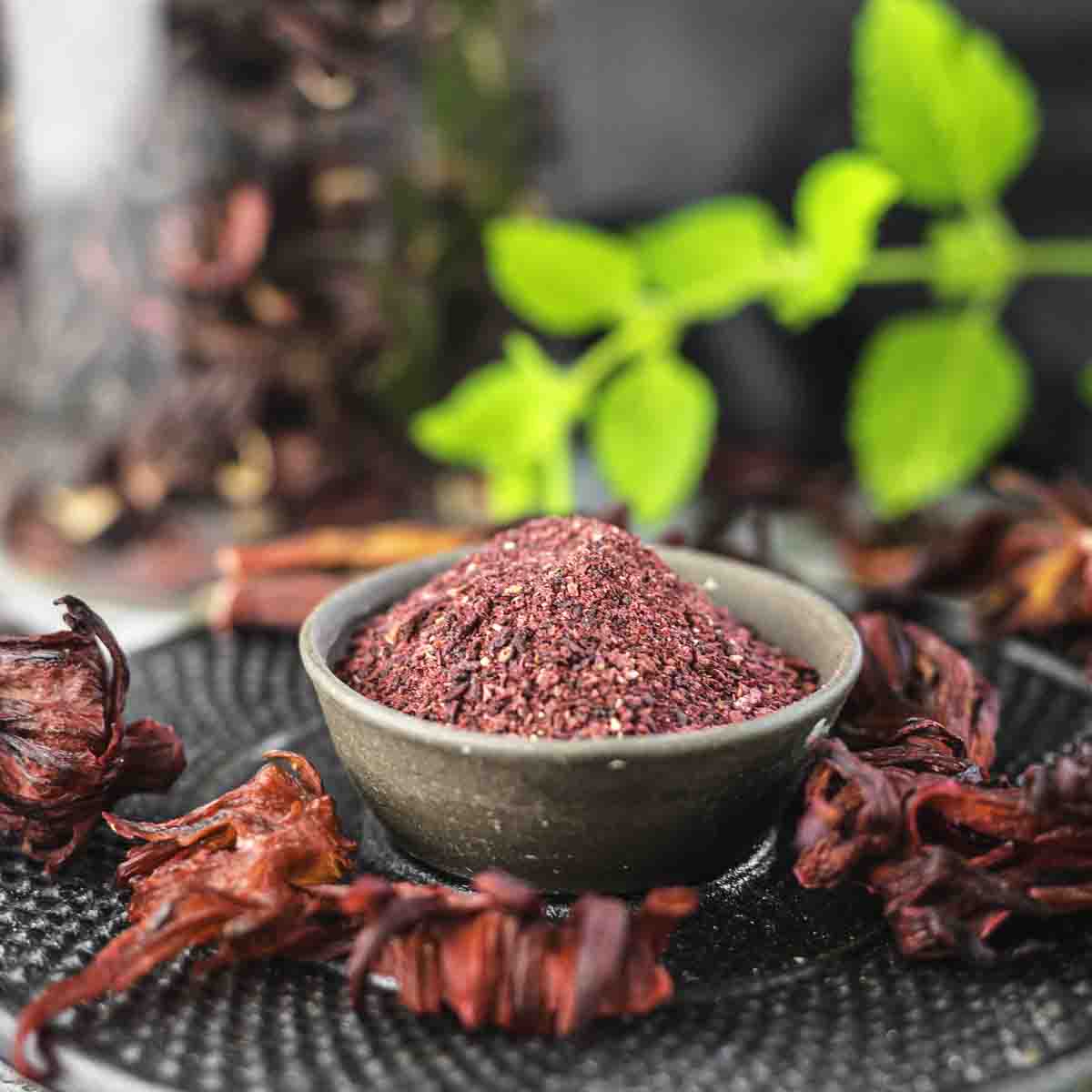 5 Proven Benefits of Hibiscus Powder for Hair Growth & Stronger Roots